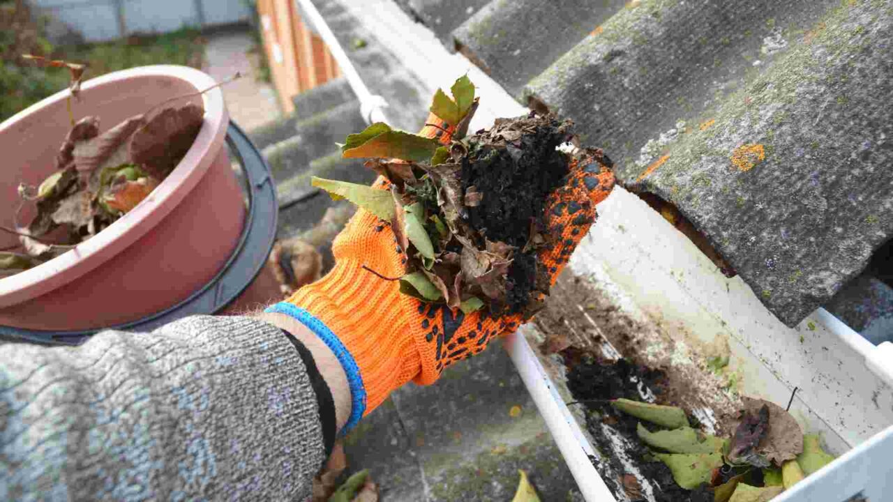 How To Keep Pests Out Of Your Gutters – Soffit Fascia Guys